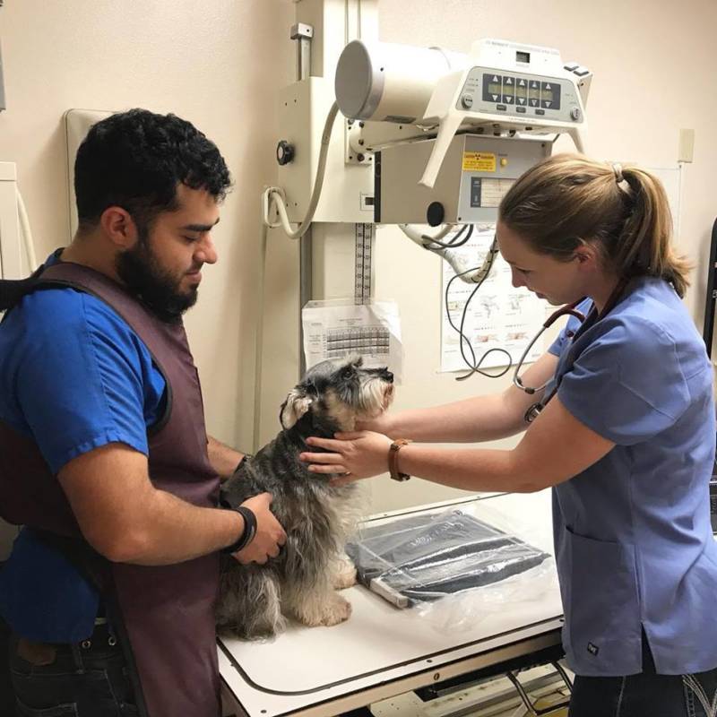 Diagnostics - Mission Veterinary Hospital