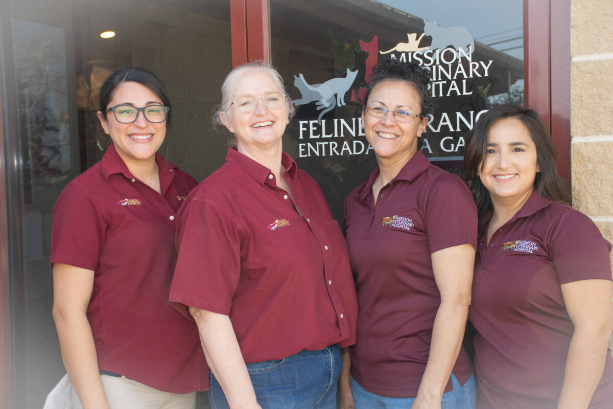 About Us - Mission Veterinary Hospital