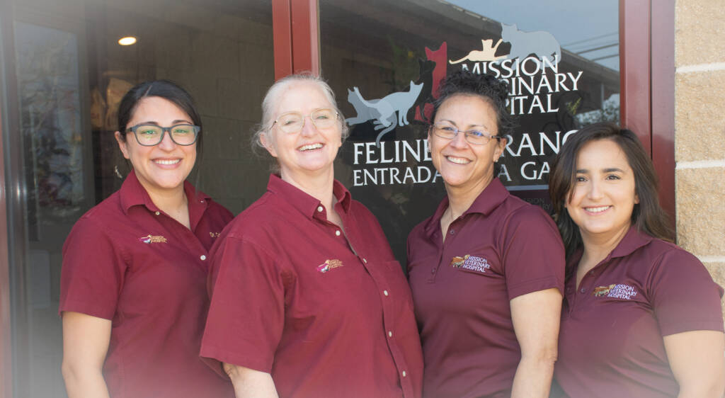 Join Our Team - Mission Veterinary Hospital