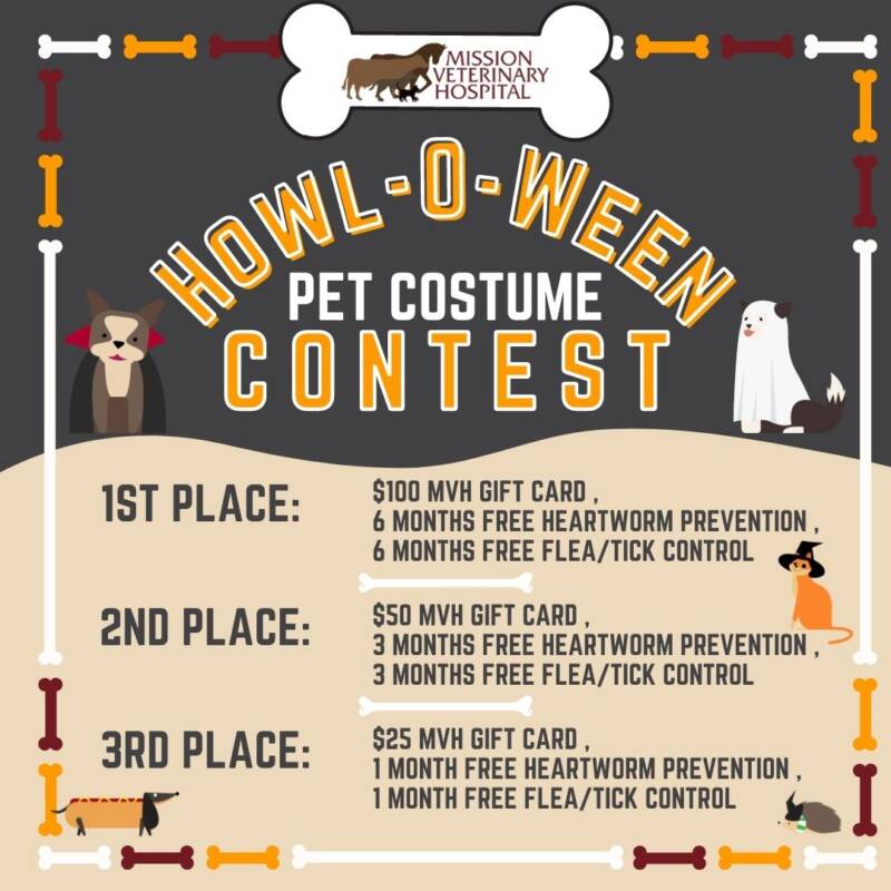 Annual HOWL-O-WEEN Costume Contest - Mission Veterinary Hospital